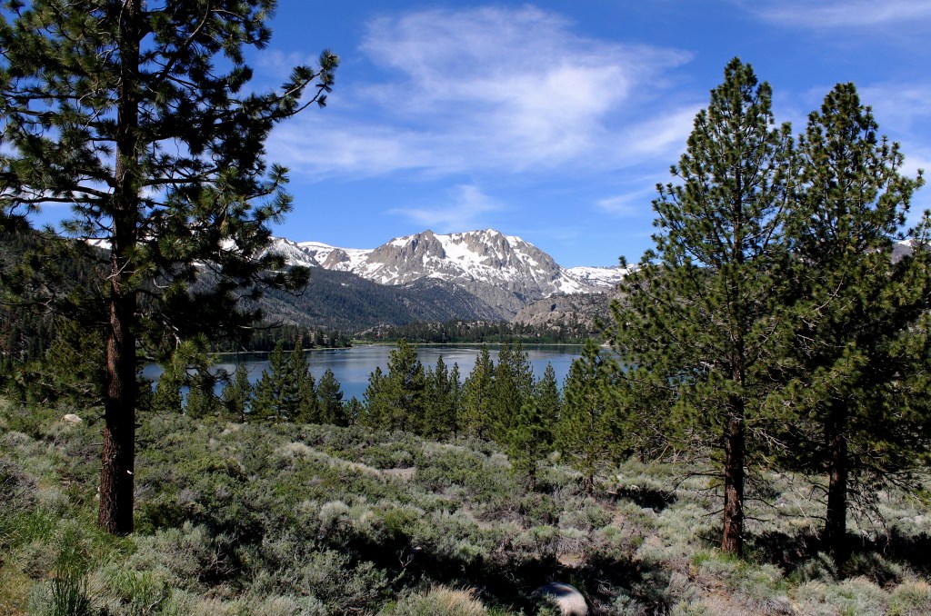 Gender Identity Research Digest: Transgender, Nonbinary, Gender ...