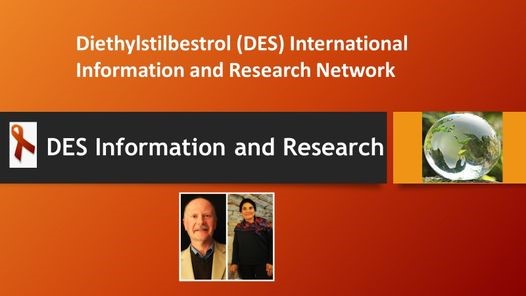 DES International Information and Research Network – Kerlin ...